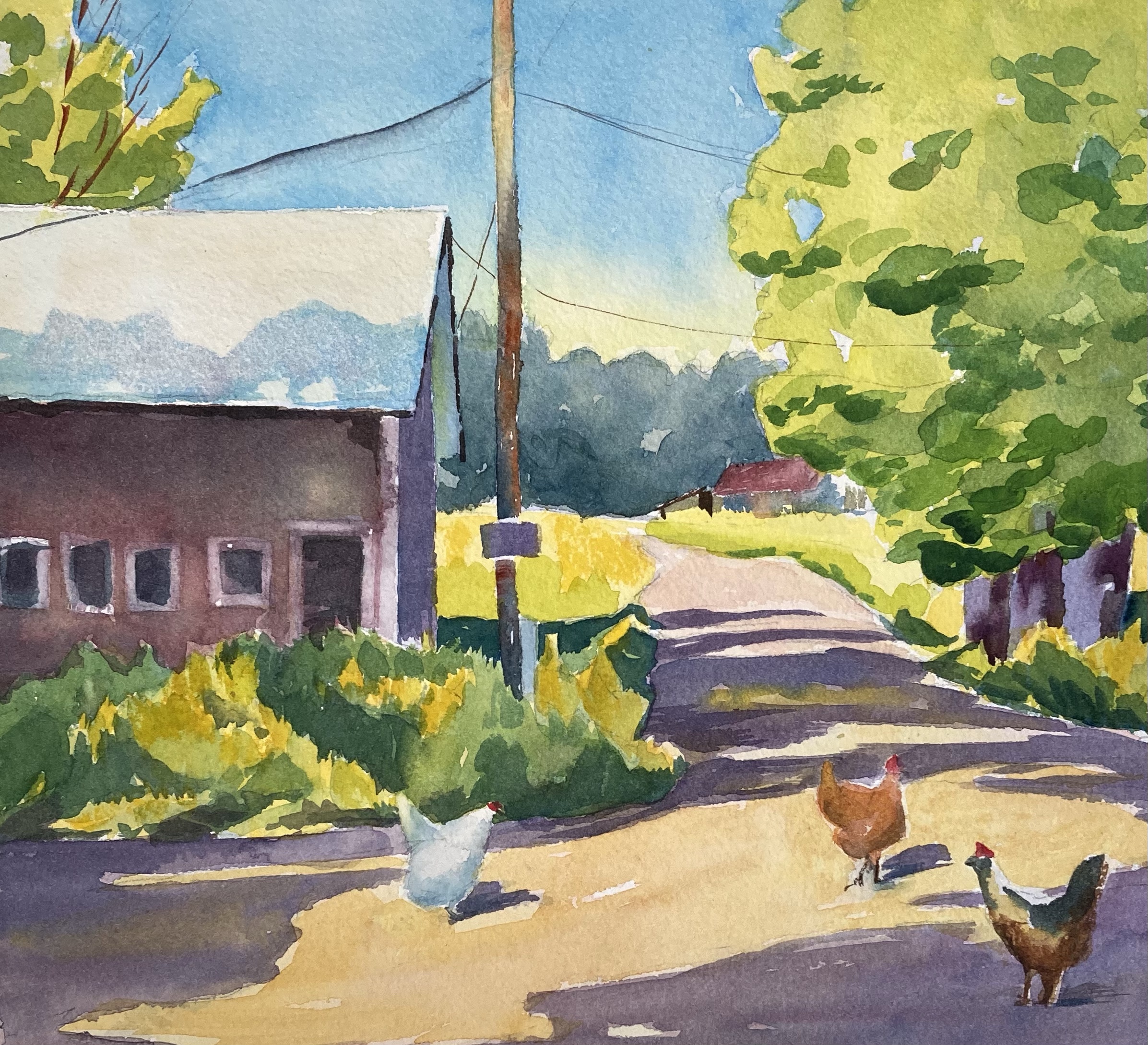 Barnyard Chickens – squint your eyes