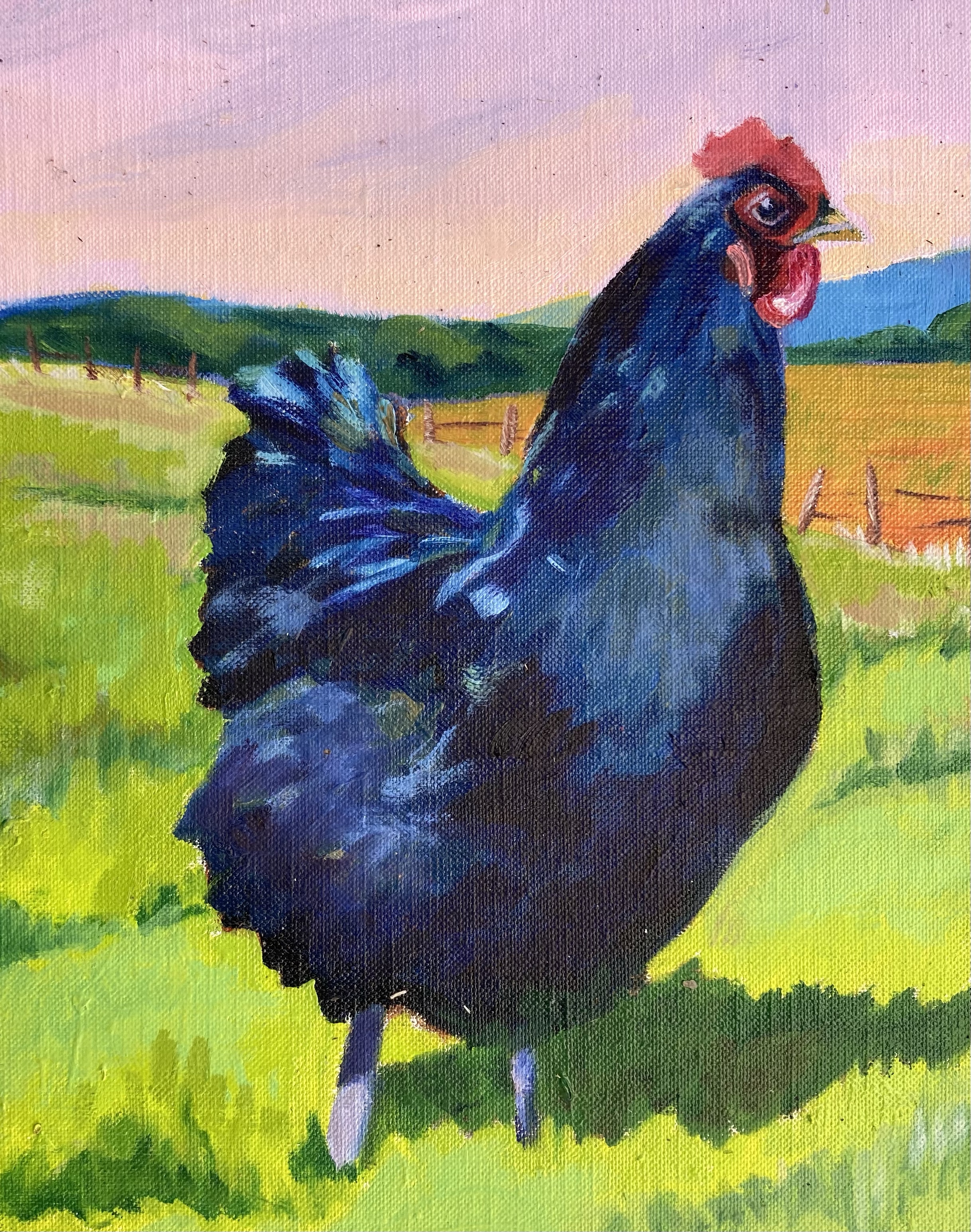 Chickens and more…. – squint your eyes